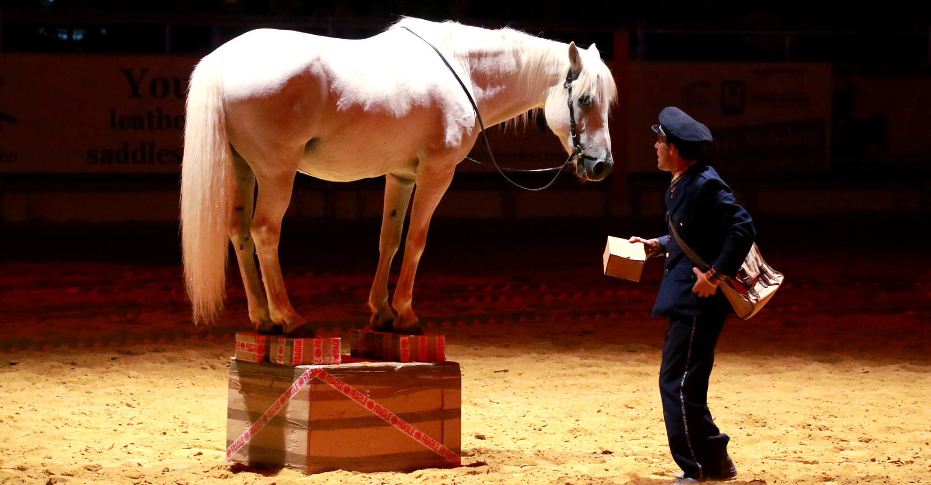 Spectacle équestre Andjai - Show à cheval - Artiste international