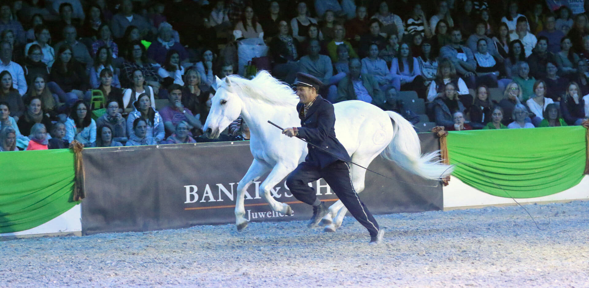 Equestrian Show Andjai - Horse Sight - International Artist